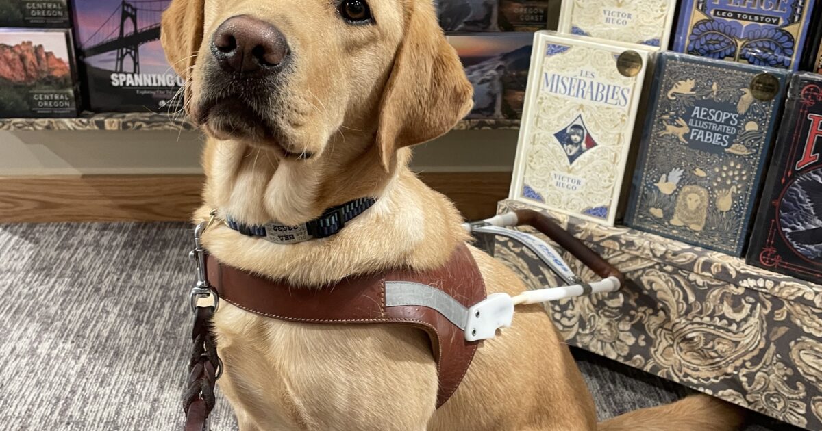 December 2023 Pupdate for Bea | Guide Dogs for the Blind - Pupdates